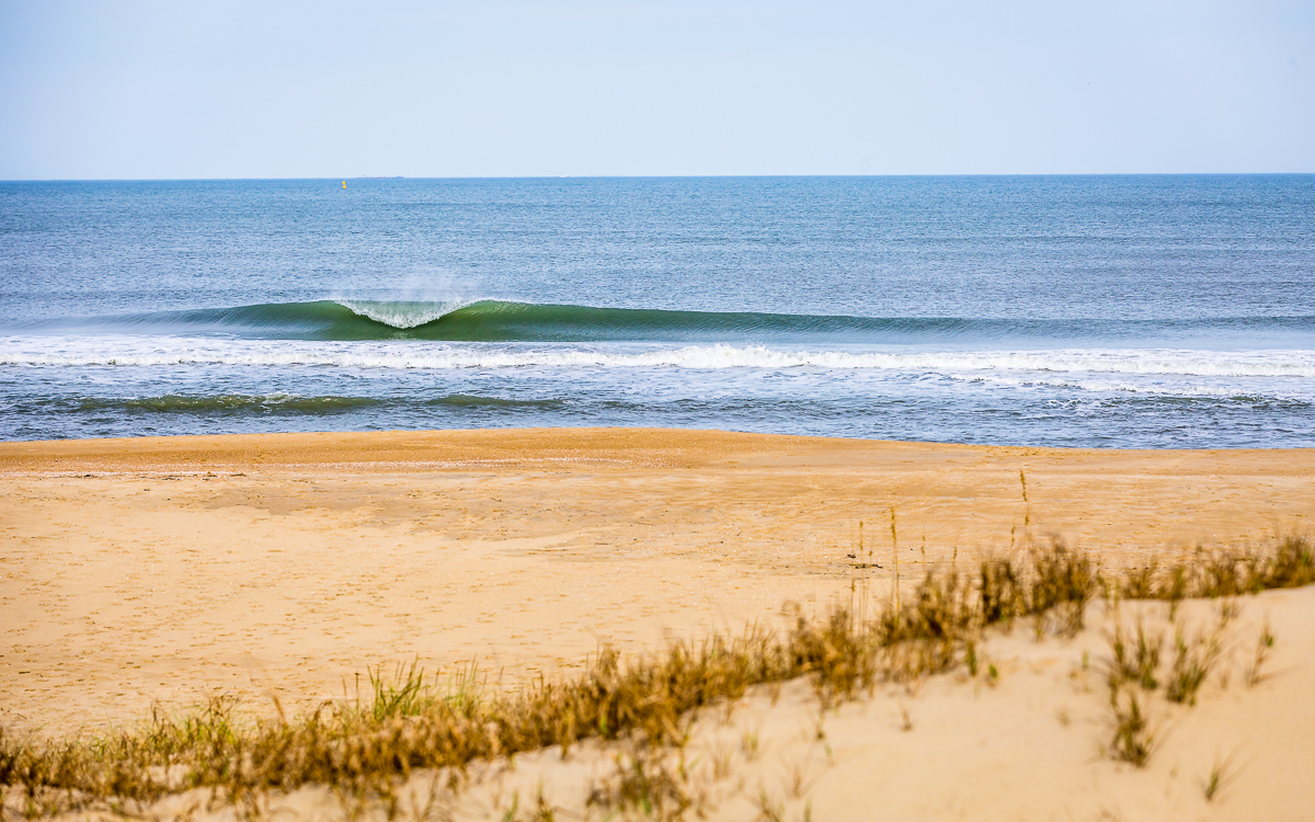 Wide Open in Virginia Beach - Surf & Adventure