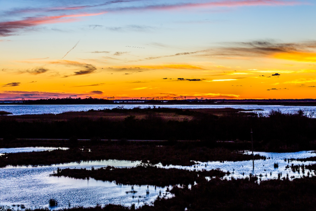 Sandbridge Shines by Ficke + Mactavish - Surf & Adventure Co