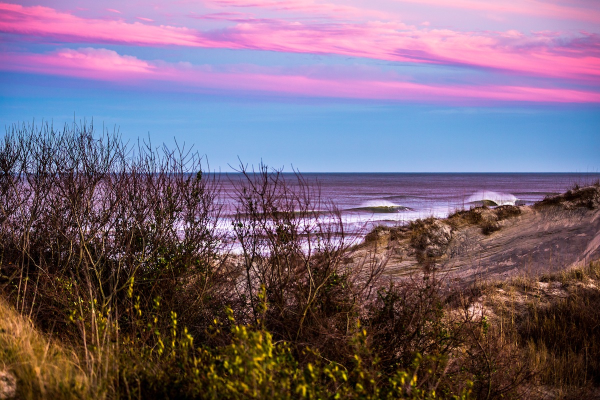 Sandbridge Shines by Ficke + Mactavish - Surf & Adventure Co